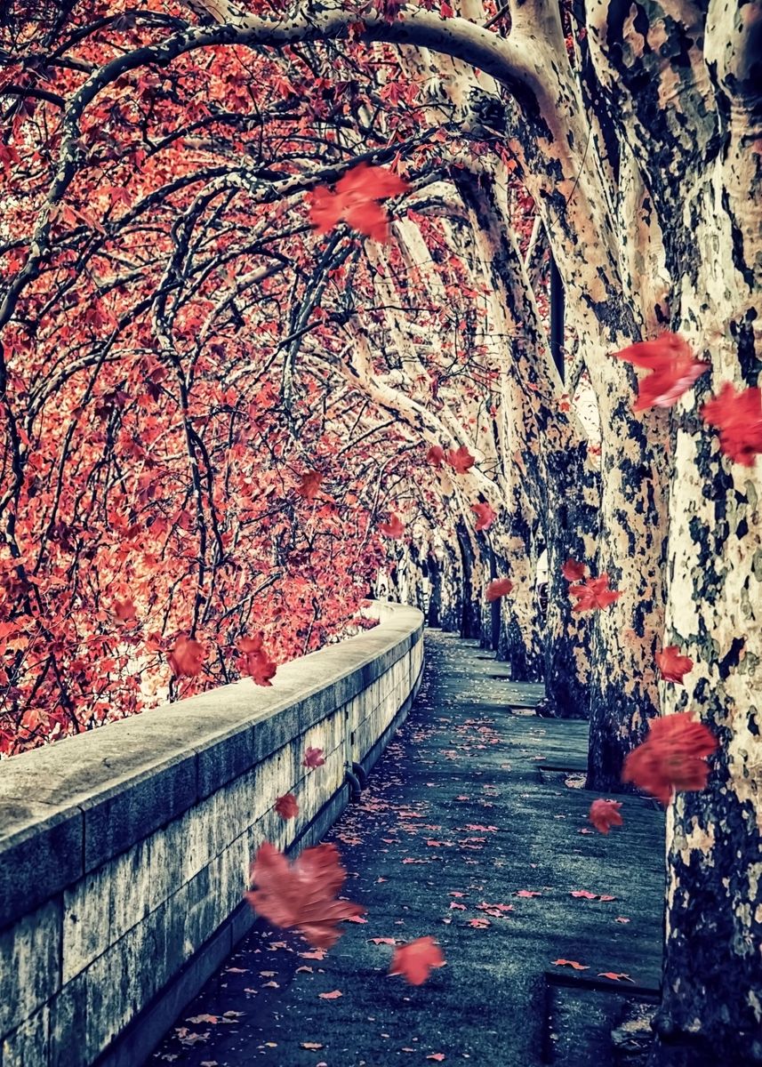 'Rome At fall' Poster, picture, metal print, paint by Mango Art | Displate