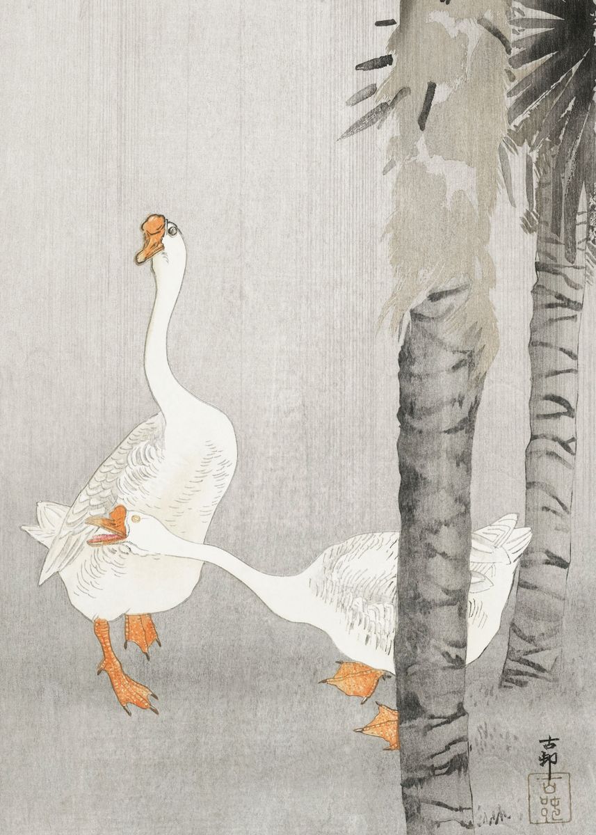 'Tame geese in rain 1900 ' Poster, picture, metal print, paint by Sloka ...