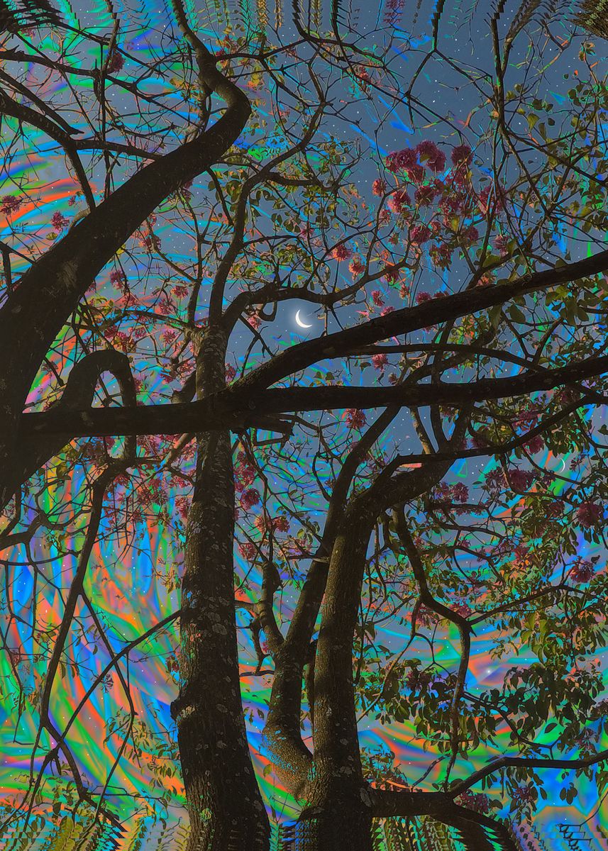 'Interconnections' Poster by Cajuca | Displate