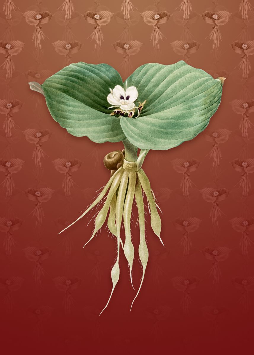 'Vintage Sand Ginger on Red' Poster, picture, metal print, paint by ...