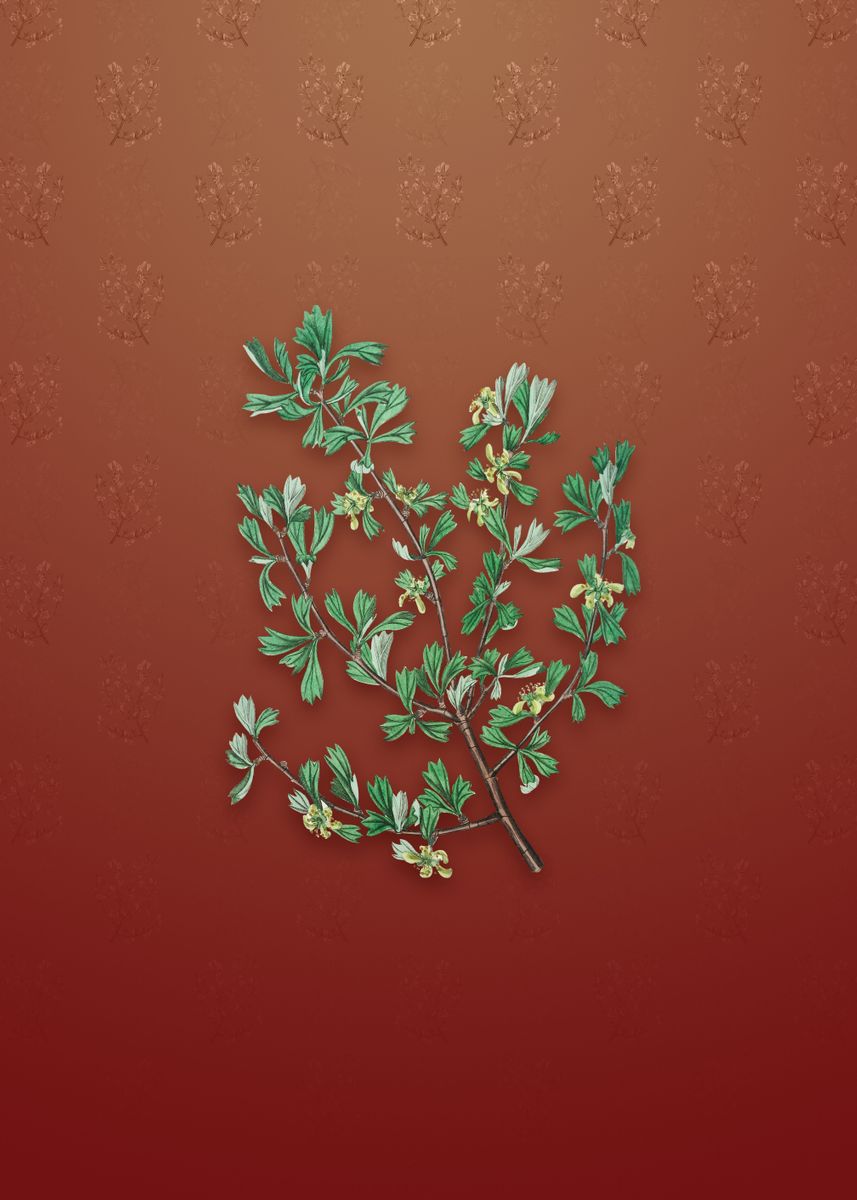 'Three Toothed Purshia' Poster, picture, metal print, paint by Holy ...