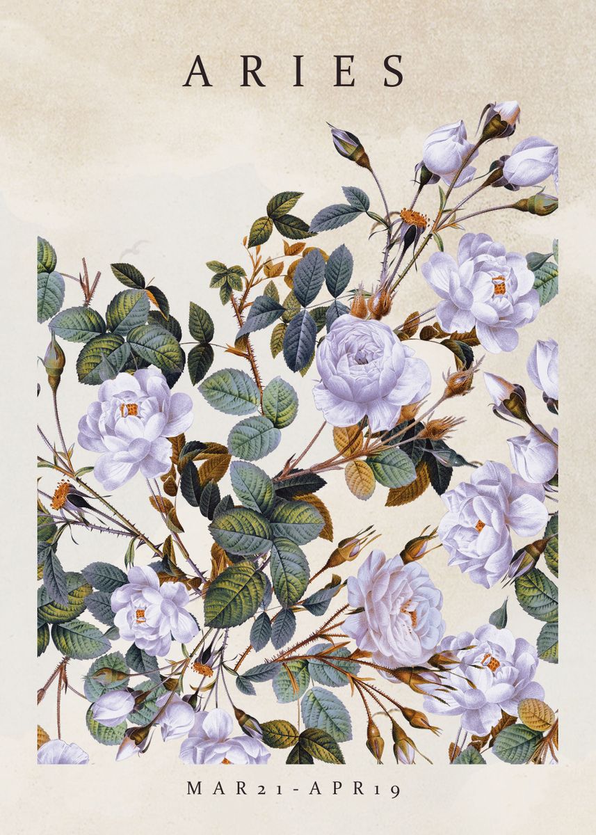 'ARIES' Poster by burcu korkmazyurek | Displate