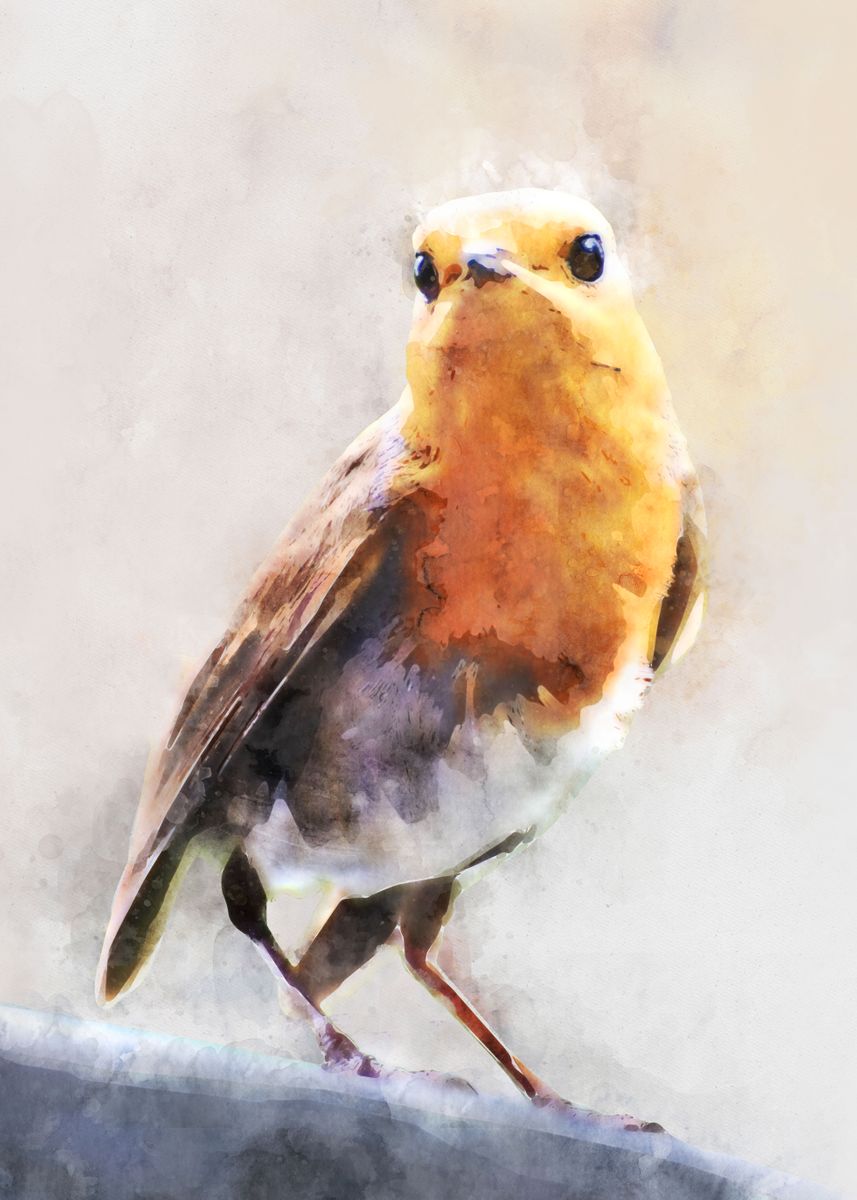 'Watercolor orange robin' Poster, picture, metal print, paint by Drama ...