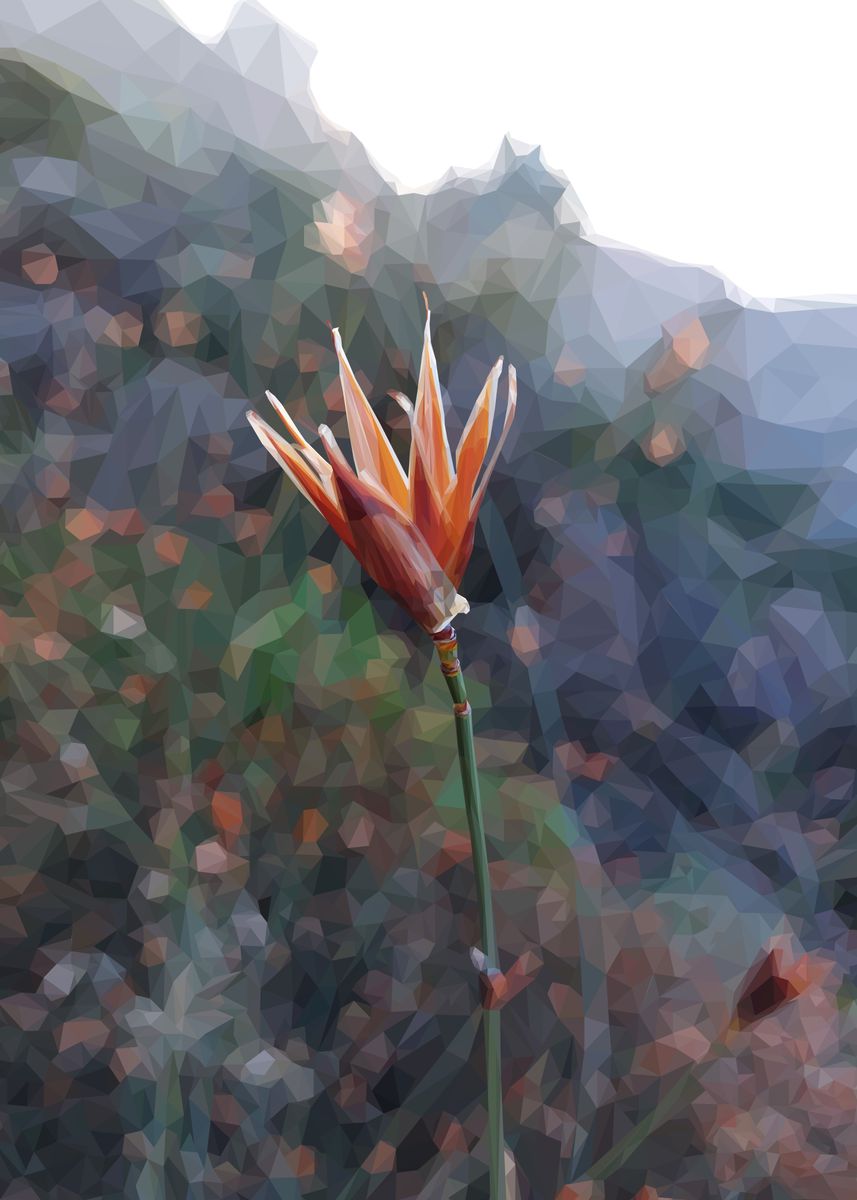 'Low Poly Sunburnt Tulip' Poster by Erin Campbell | Displate