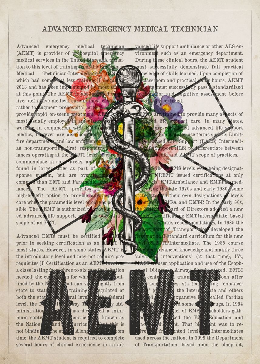 'AEMT Graduation Gift' Poster, picture, metal print, paint by Aged ...