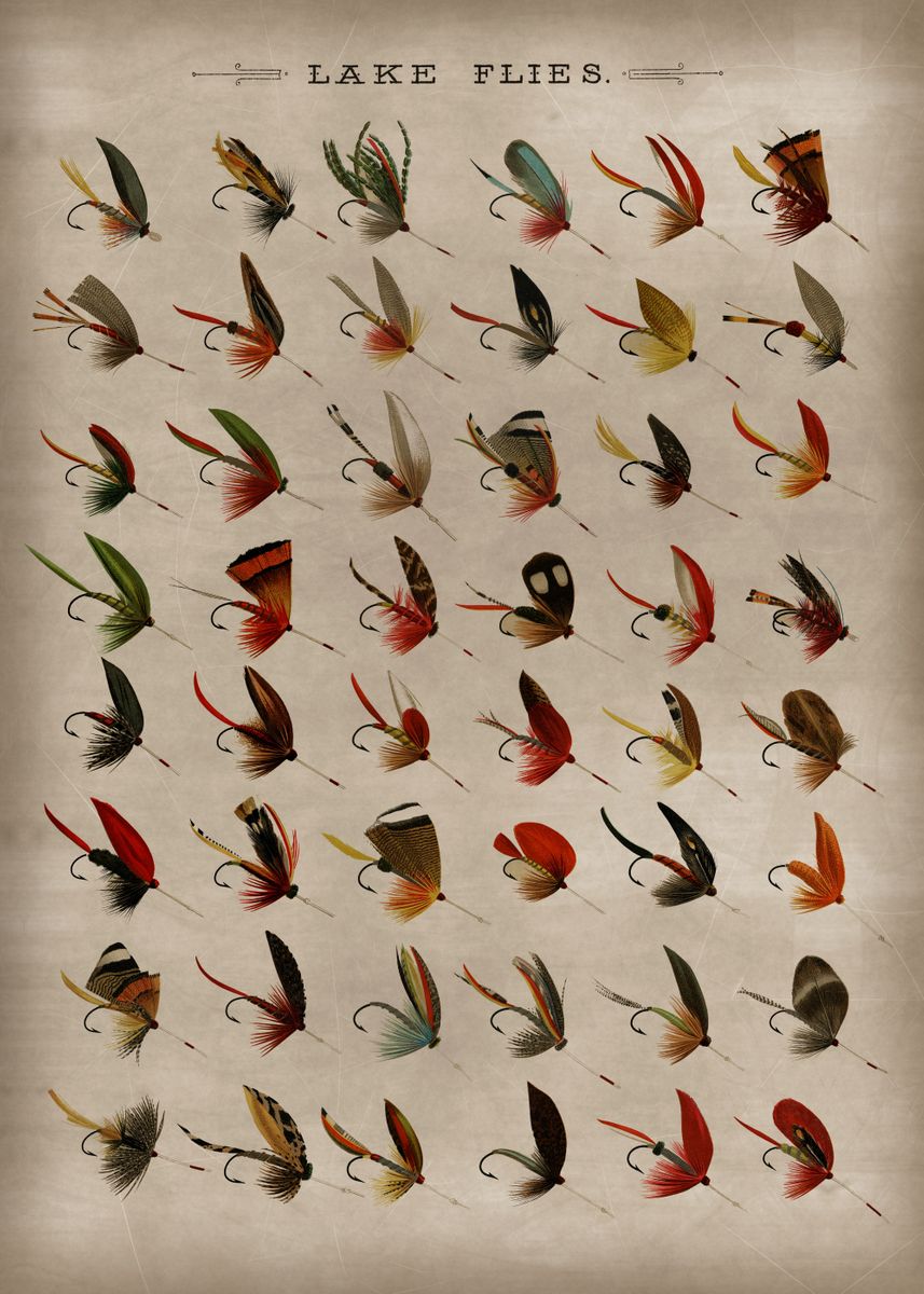 'Lake Flies Fishing Baits' Poster, picture, metal print, paint by ...