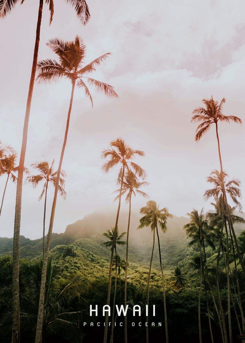 'Hawaii ' Poster, picture, metal print, paint by Travel Addict | Displate