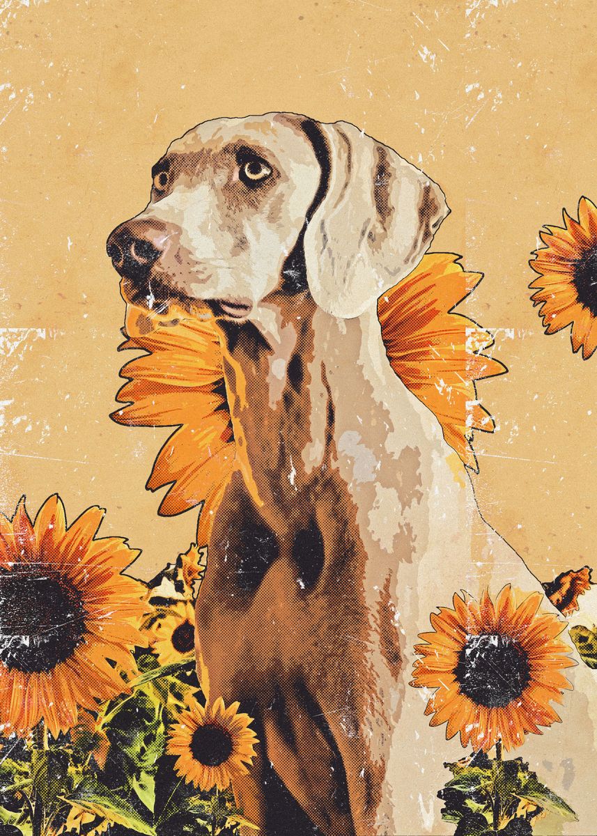 'Sundog Comic Style' Poster, picture, metal print, paint by Colorize ...