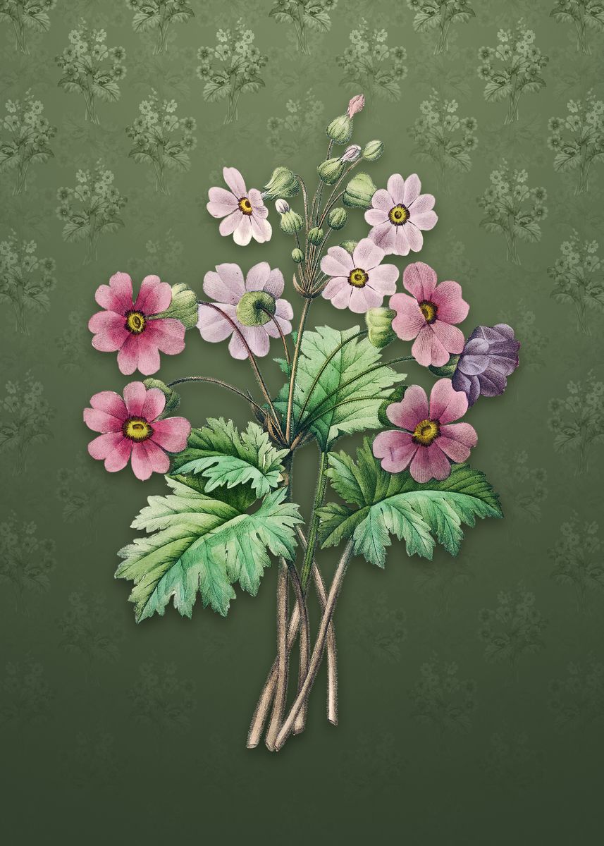 'The Chinese Primrose' Poster, picture, metal print, paint by Holy Rock ...