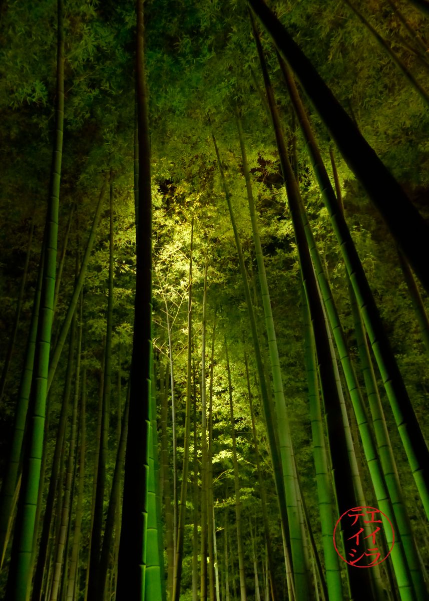 'Bamboo' Poster by NTx Photography | Displate