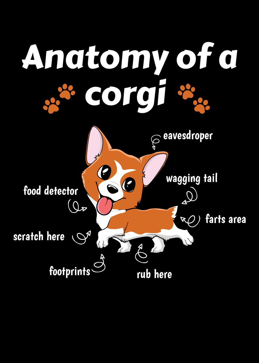 'Anatomy Of A Corgi' Poster by ShirTom | Displate