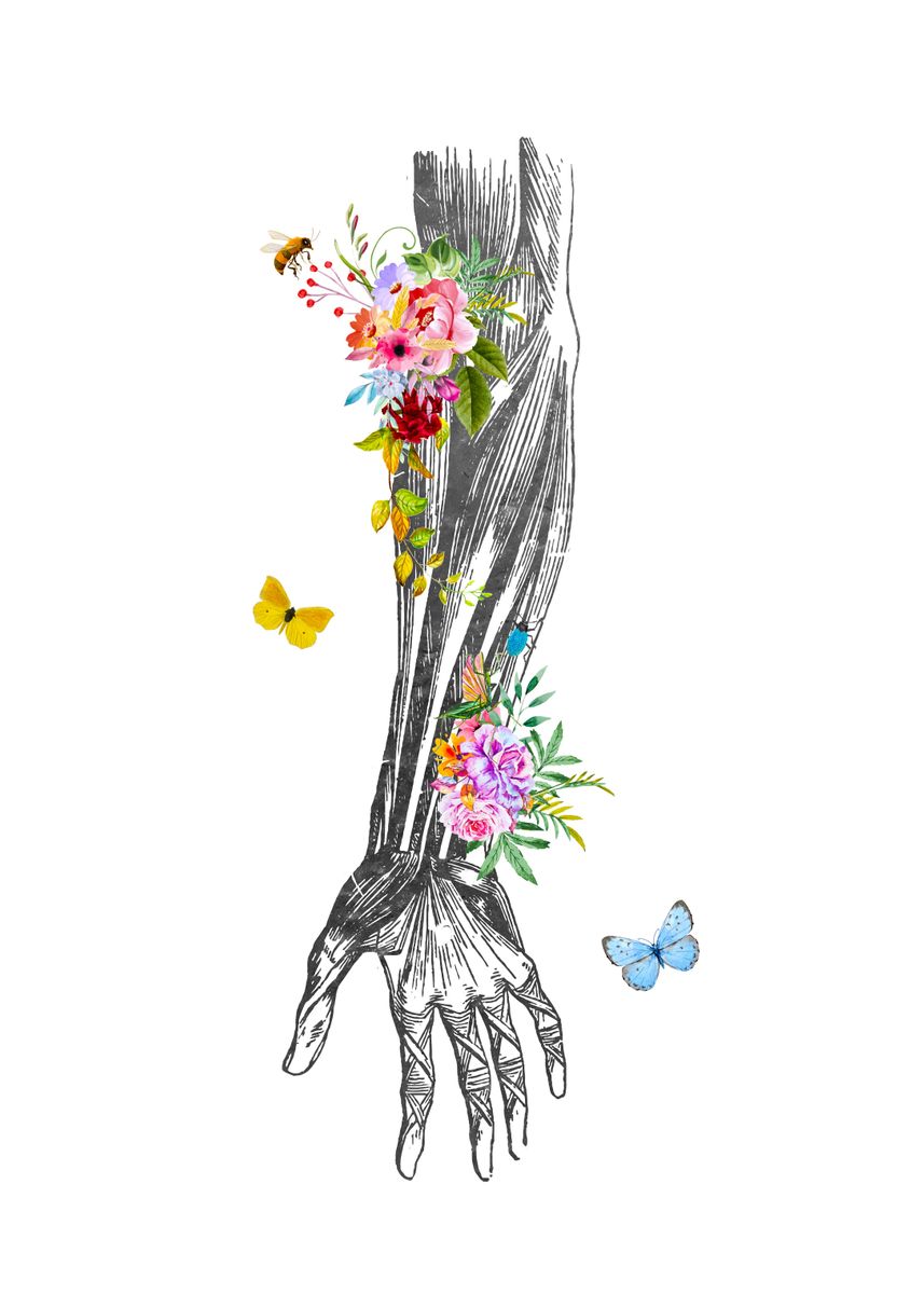 'Forearm Anatomy' Poster, picture, metal print, paint by Aged Pixel ...