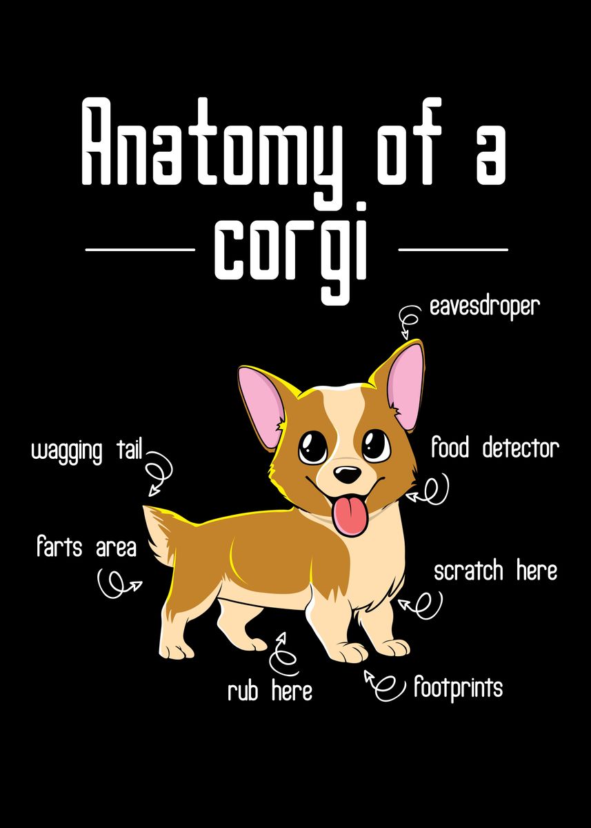 'Anatomy Of A Corgi' Poster, picture, metal print, paint by ShirTom ...