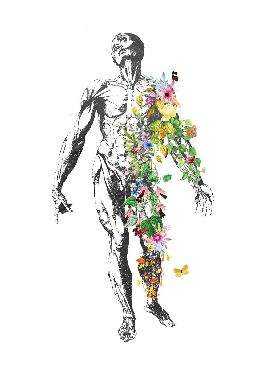 'Human Body Anatomy' Poster, picture, metal print, paint by Aged Pixel ...