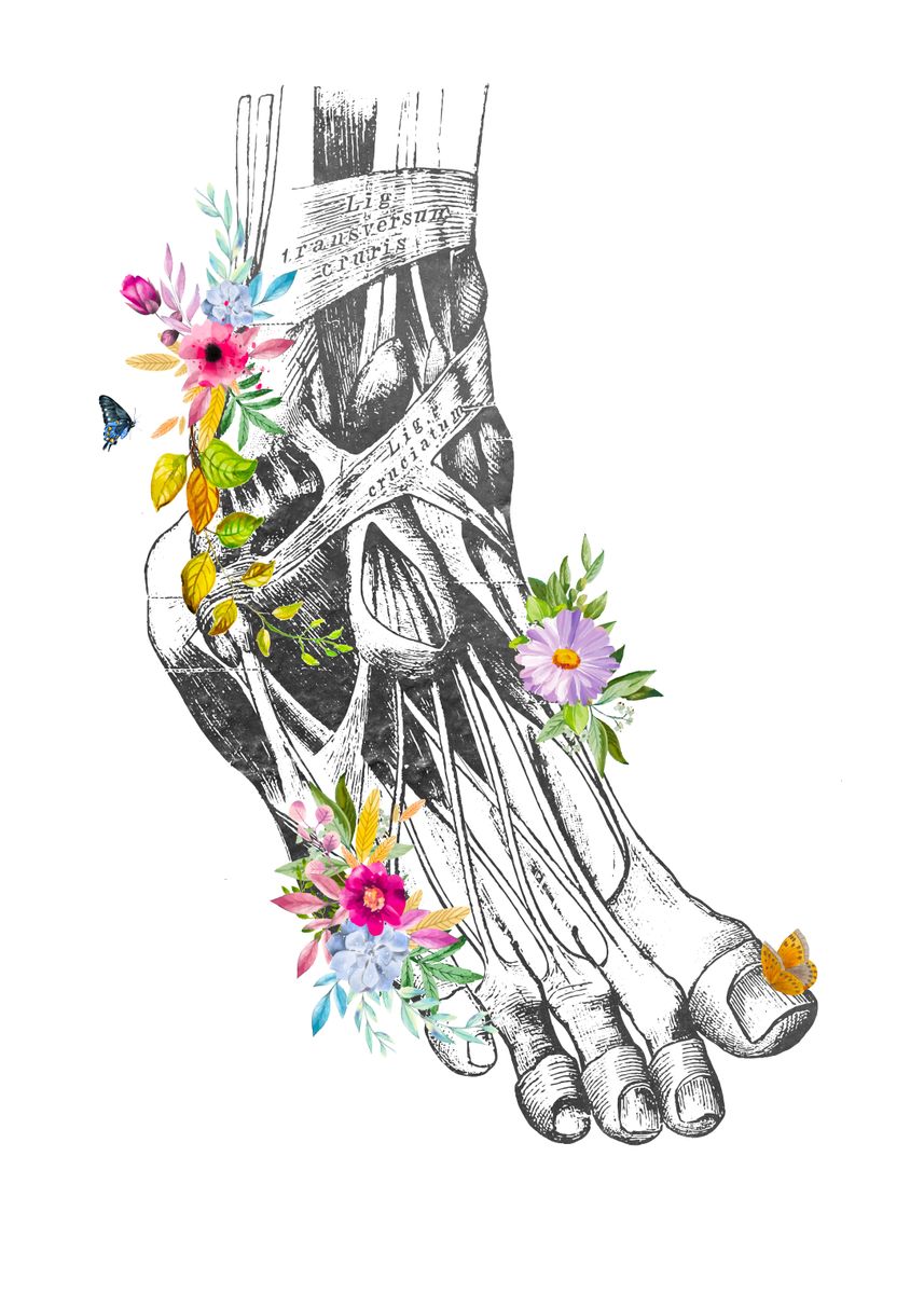 'Lower Extremity Anatomy ' Poster, picture, metal print, paint by Aged ...