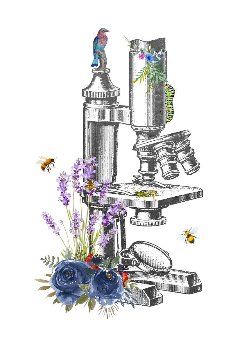 'Microscope ' Poster, picture, metal print, paint by Aged Pixel | Displate