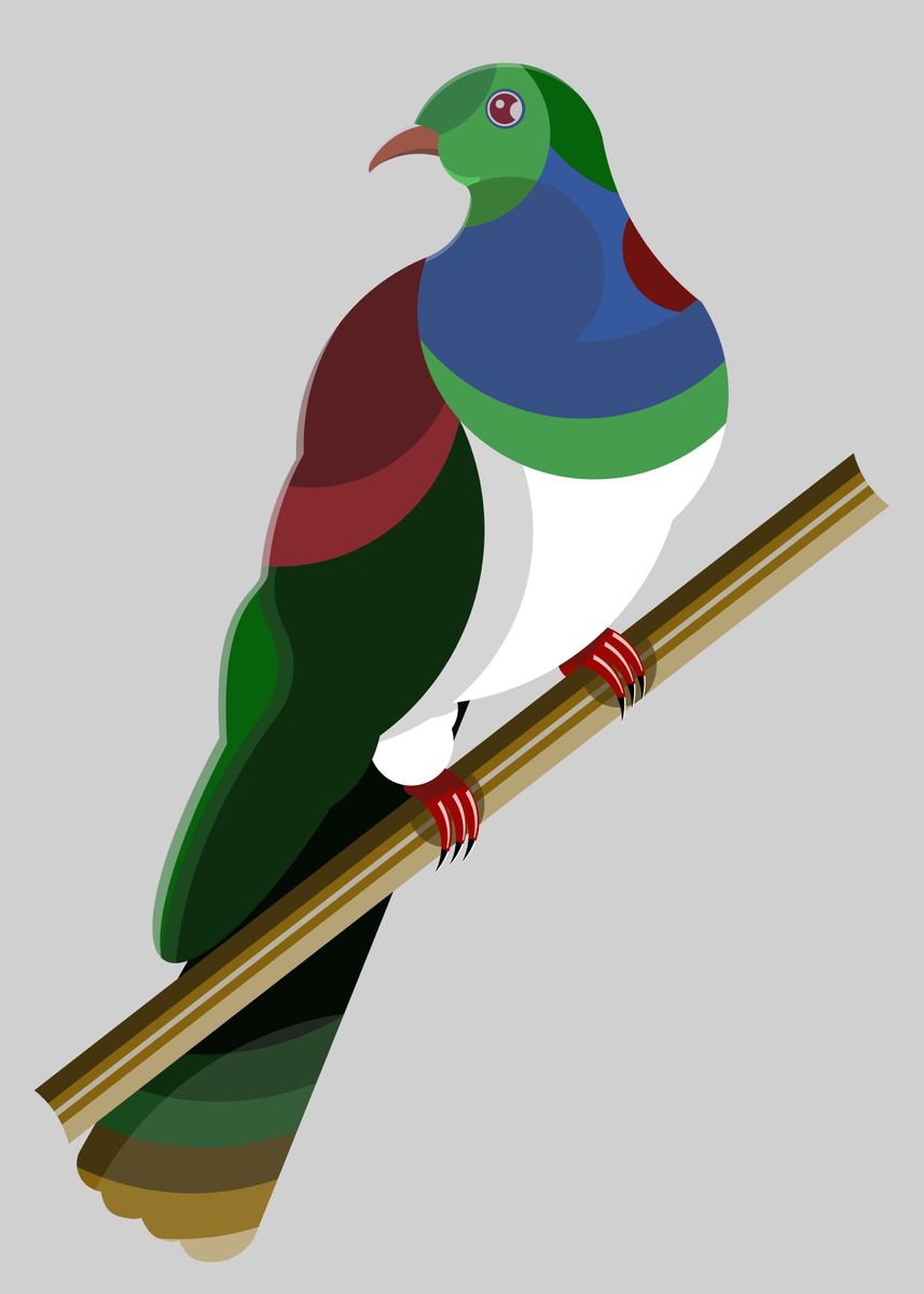'Kereru Wood Pigeon' Poster, picture, metal print, paint by mailbox ...