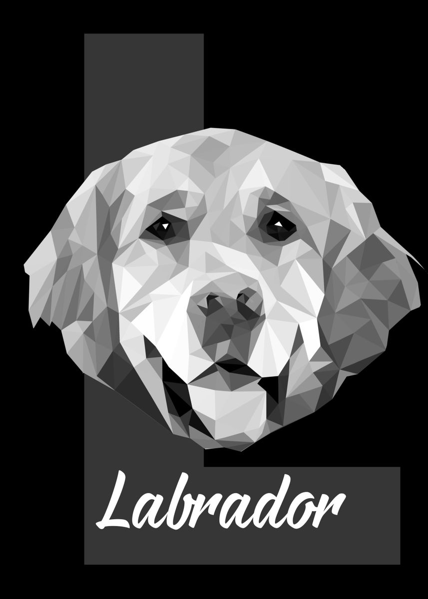 'Labrador' Poster, picture, metal print, paint by minh doan | Displate