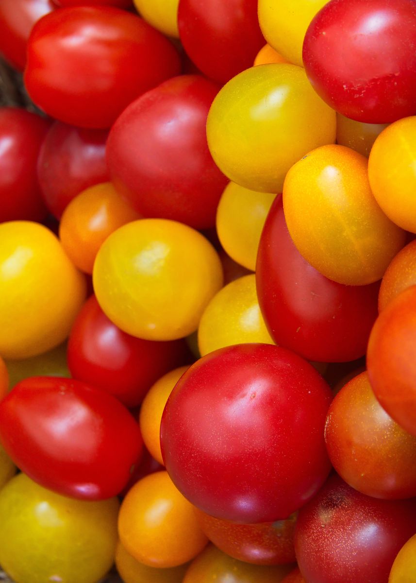 'tomato' Poster, picture, metal print, paint by Soft Brush | Displate