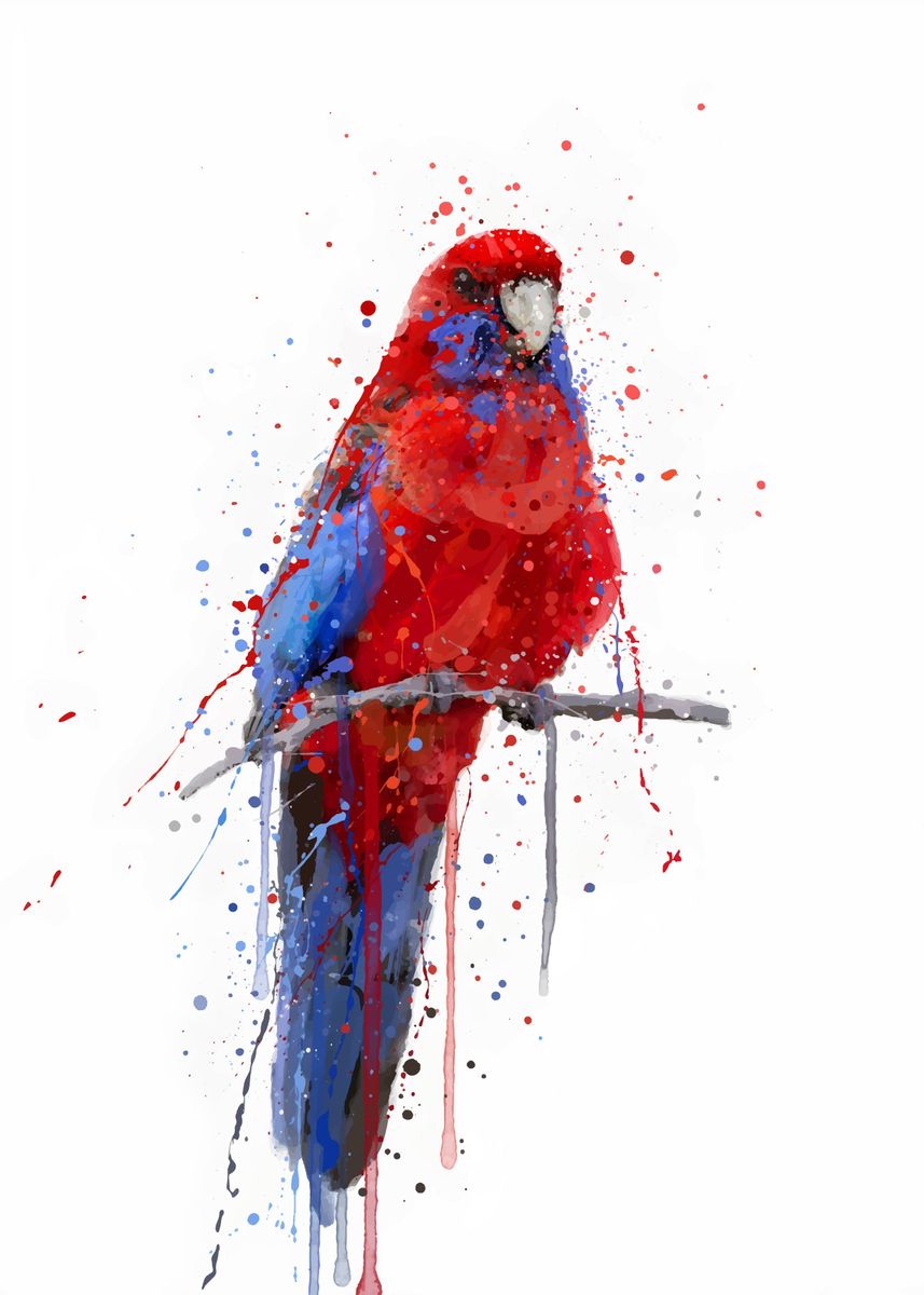 'Parrot Rosella' Poster, picture, metal print, paint by Izu | Displate