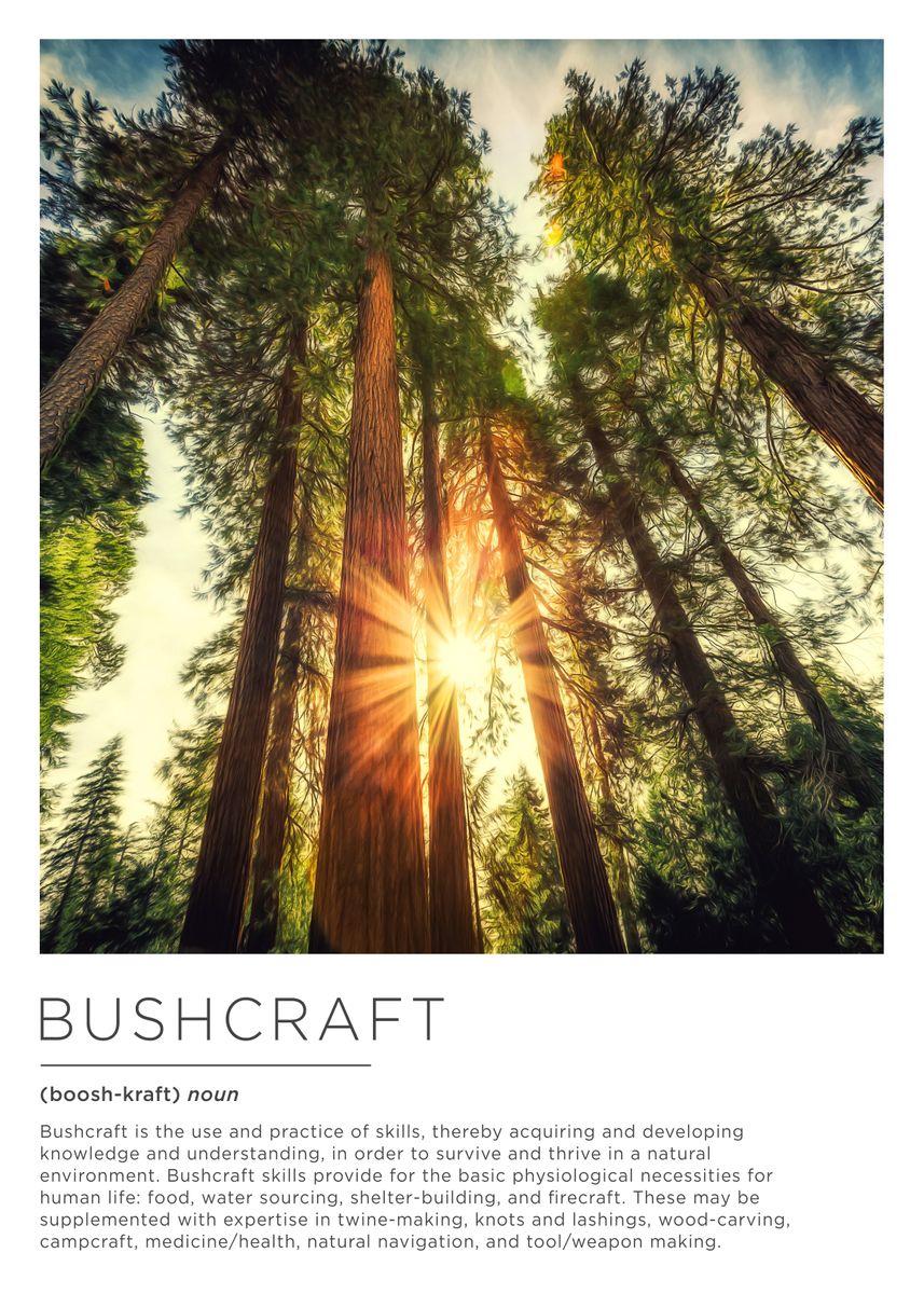'Bushcraft Landscape 2' Poster by 84PixelDesign | Displate