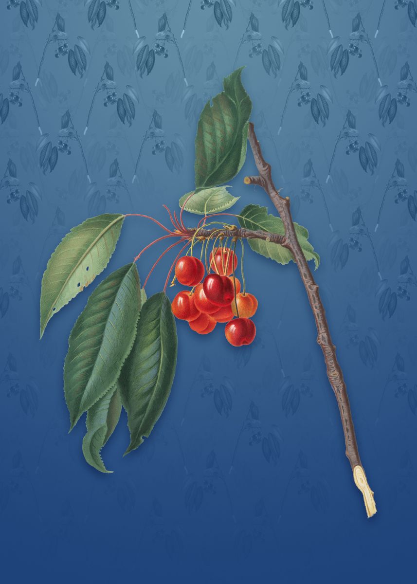 'Cherry on Bahama Blue' Poster, picture, metal print, paint by Holy ...