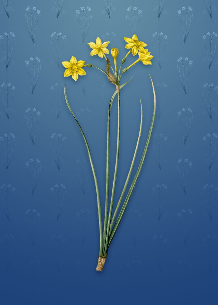 'Vintage Rush Daffodil' Poster by Holy Rock Design | Displate