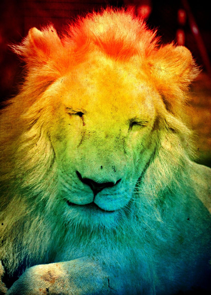 'Rainbow Lion' Poster, picture, metal print, paint by Jane Lovering ...
