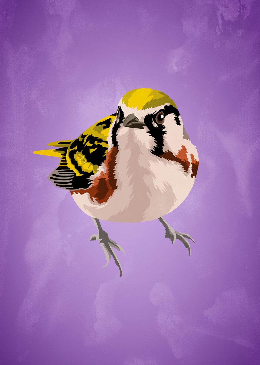 'Chestnutsided warbler' Poster by Captain Chromatic | Displate