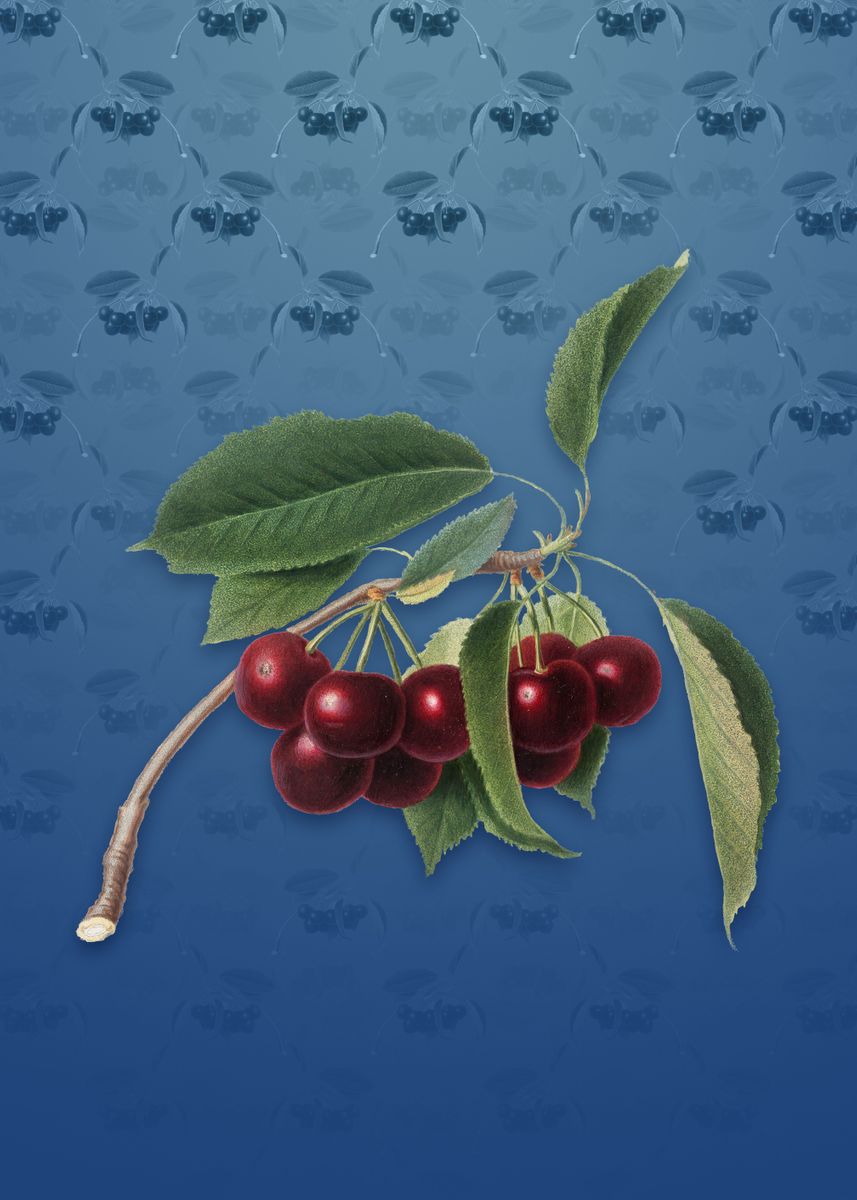 'Cherry on Bahama Blue' Poster, picture, metal print, paint by Holy ...