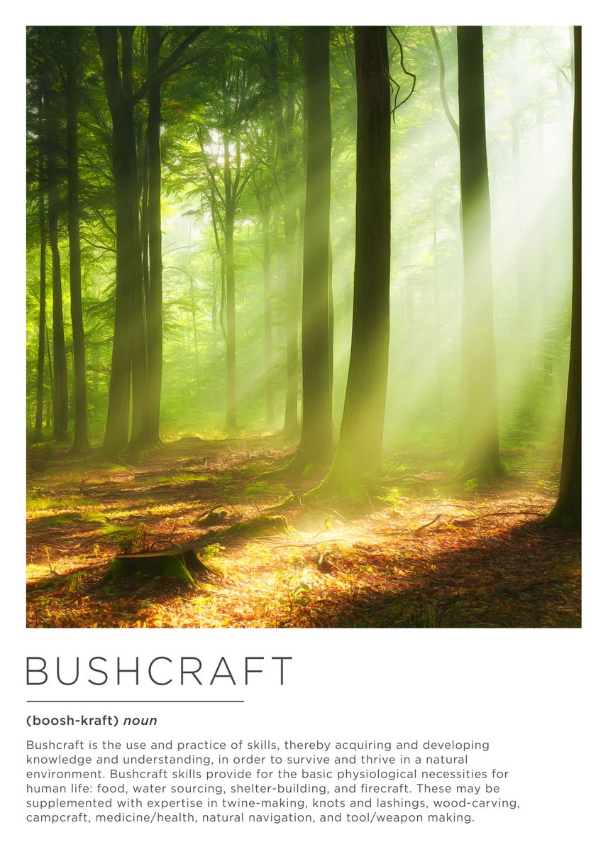 'Bushcraft Landscape 3' Poster, picture, metal print, paint by ...