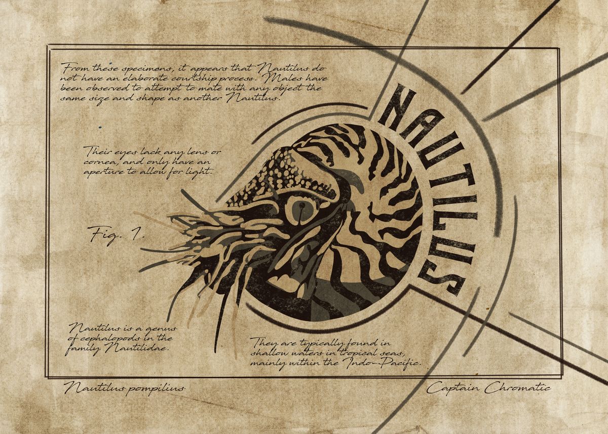 'Nautilus' Poster by Captain Chromatic | Displate
