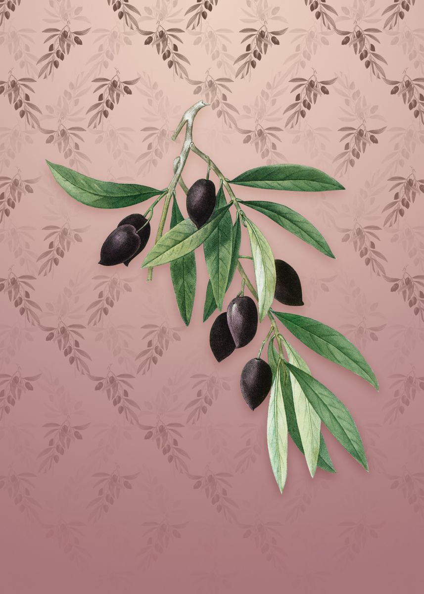 'Olive Tree on Dusty Pink' Poster, picture, metal print, paint by Holy ...