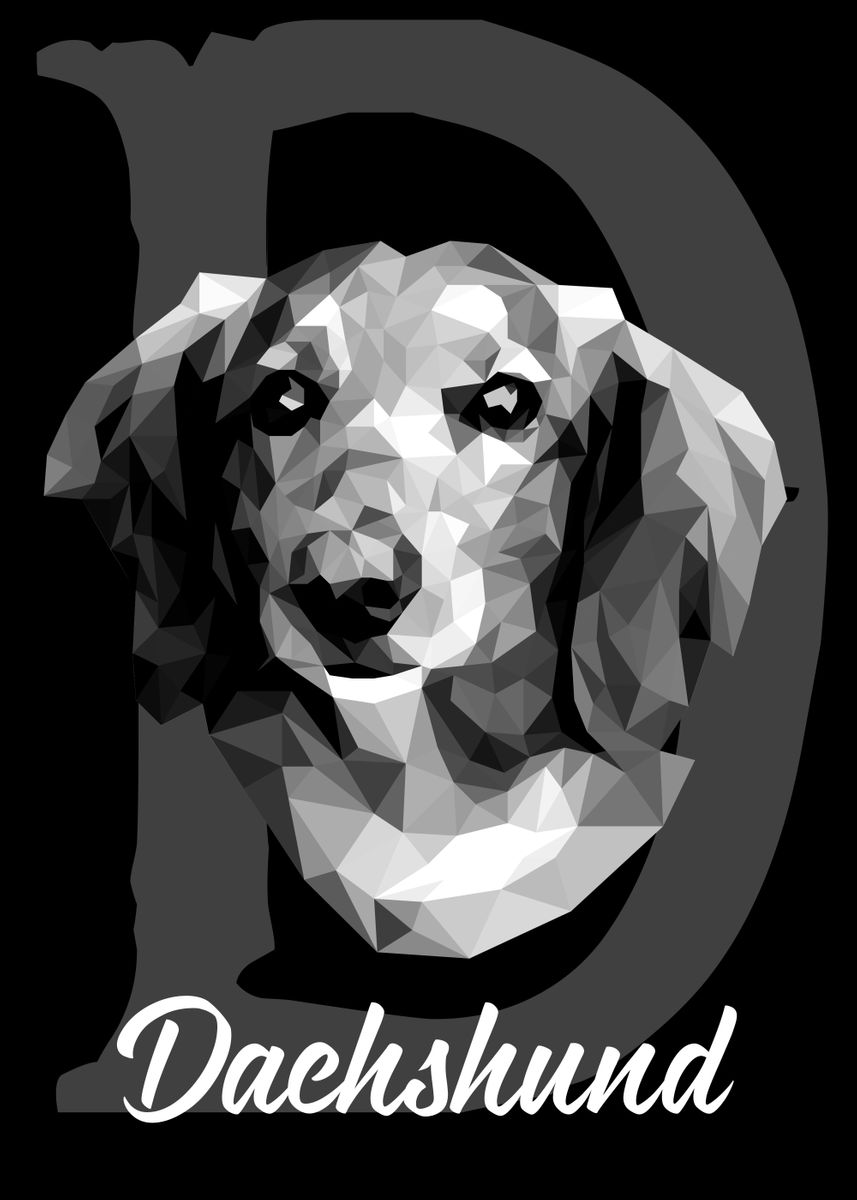 'Dachshund' Poster, picture, metal print, paint by minh doan | Displate