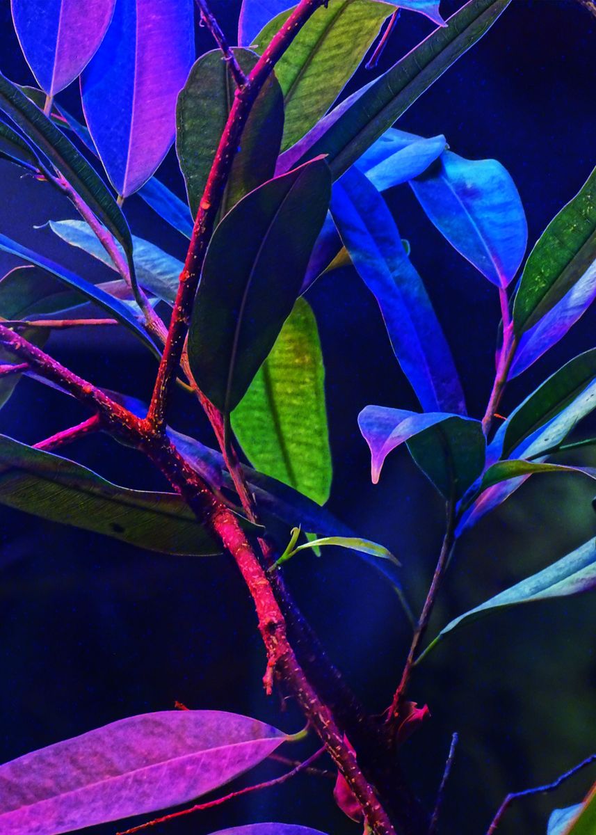 'Neon leaves' Poster, picture, metal print, paint by Virág Mazár | Displate