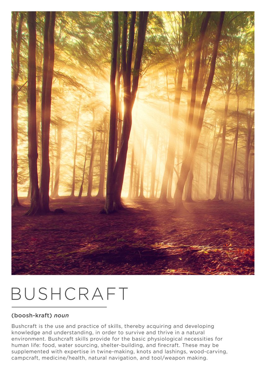 'Bushcraft Landscape 4' Poster, picture, metal print, paint by ...