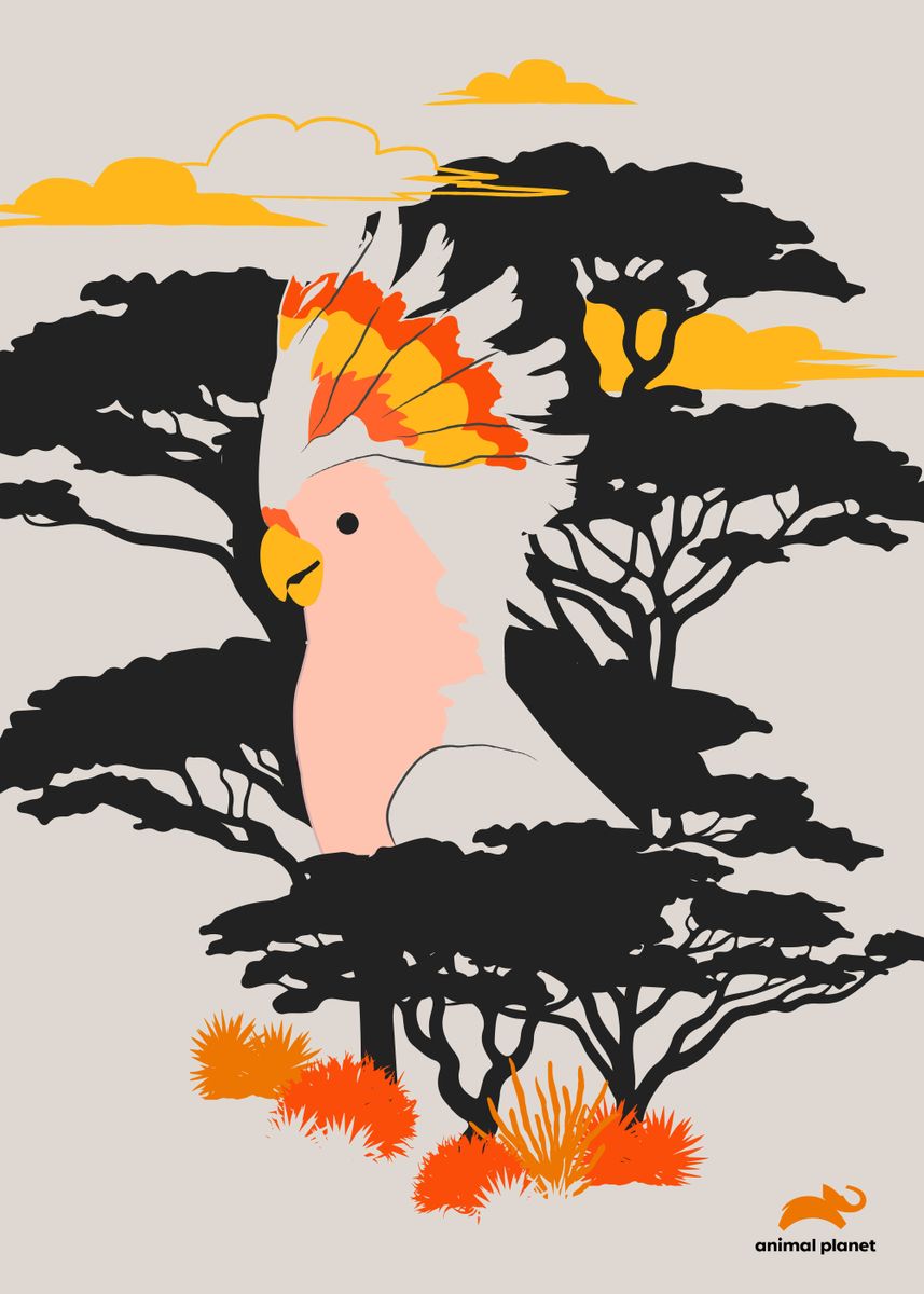 'Cockatoo' Poster, picture, metal print, paint by Animal Planet | Displate