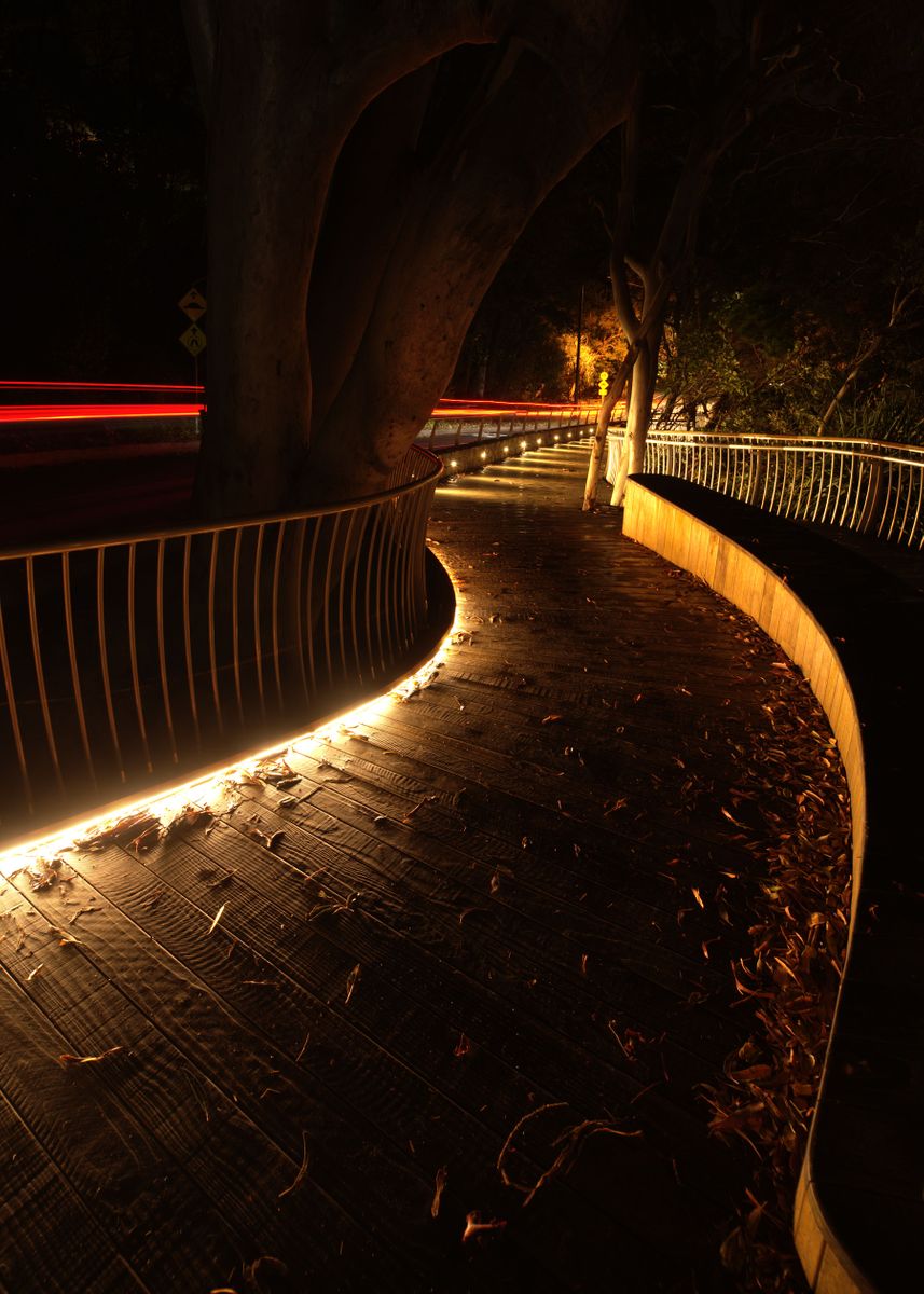 'Night path' Poster by Frozigraphie | Displate