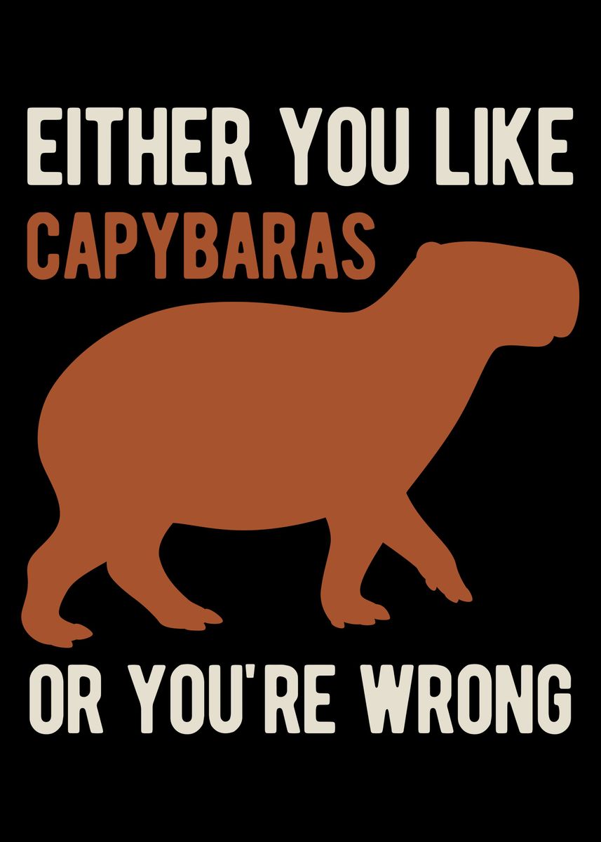 'Funny Capybara' Poster by Visualz | Displate
