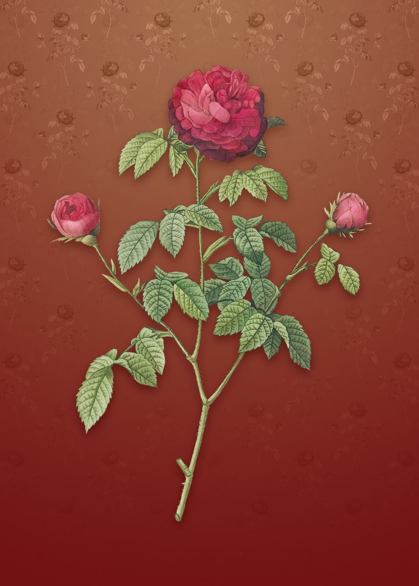 'Agatha Rose in Bloom' Poster by Holy Rock Design | Displate