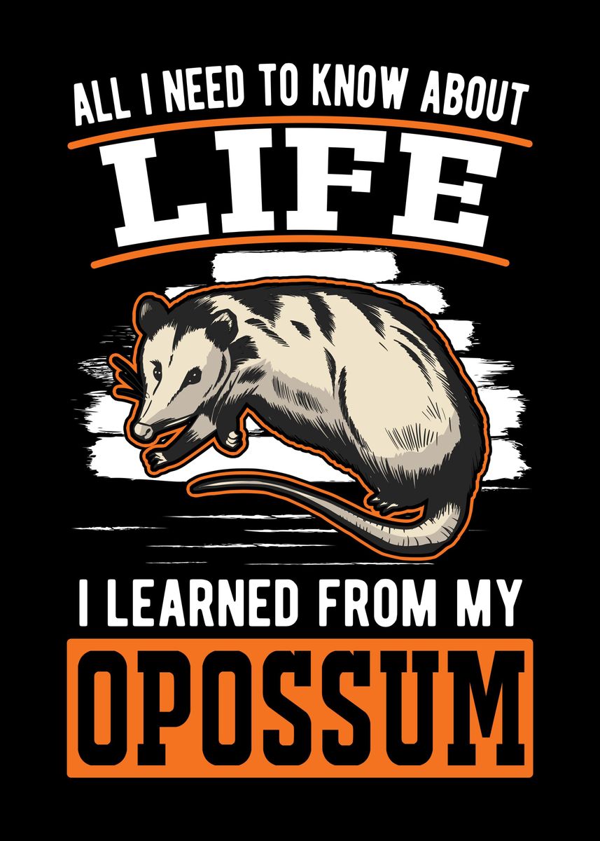 'Possum Gift Opossum' Poster, picture, metal print, paint by ...