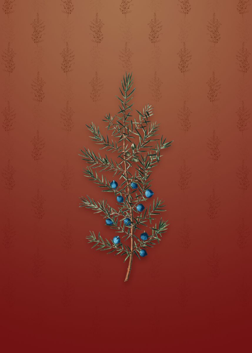 'Vintage Common Juniper' Poster by Holy Rock Design | Displate