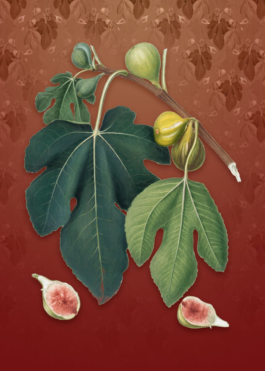 'Vintage Fig on Falu Red' Poster by Holy Rock Design | Displate