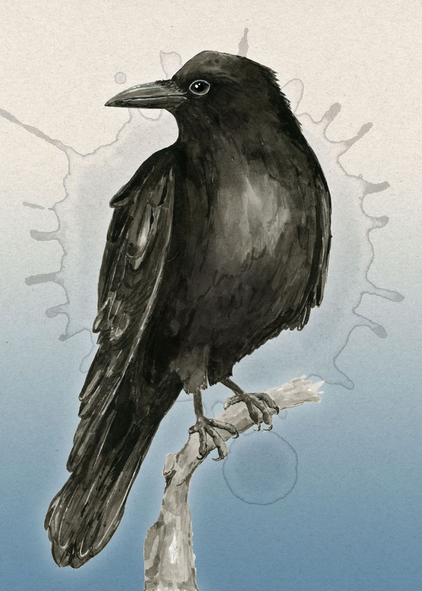 'Raven wet ink drawing ' Poster, picture, metal print, paint by Bianca ...