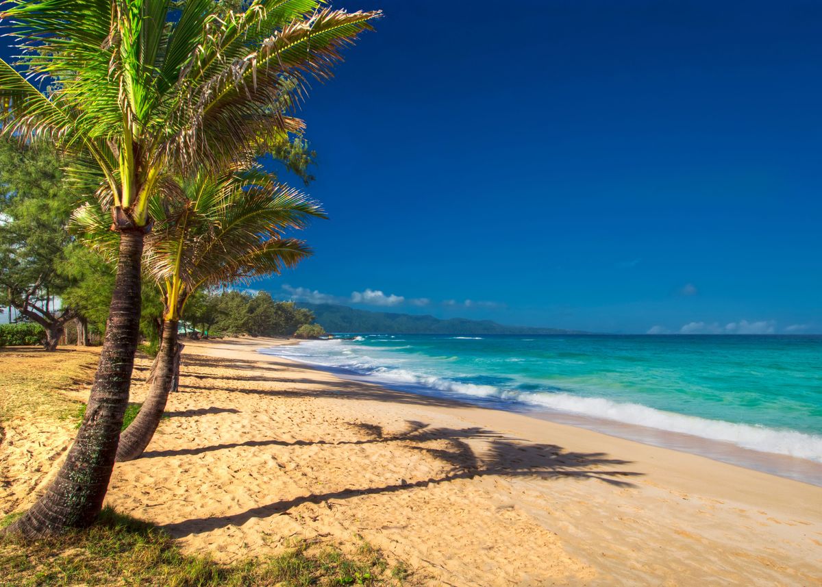 'Tropical Beach' Poster by Chelsea Shea | Displate
