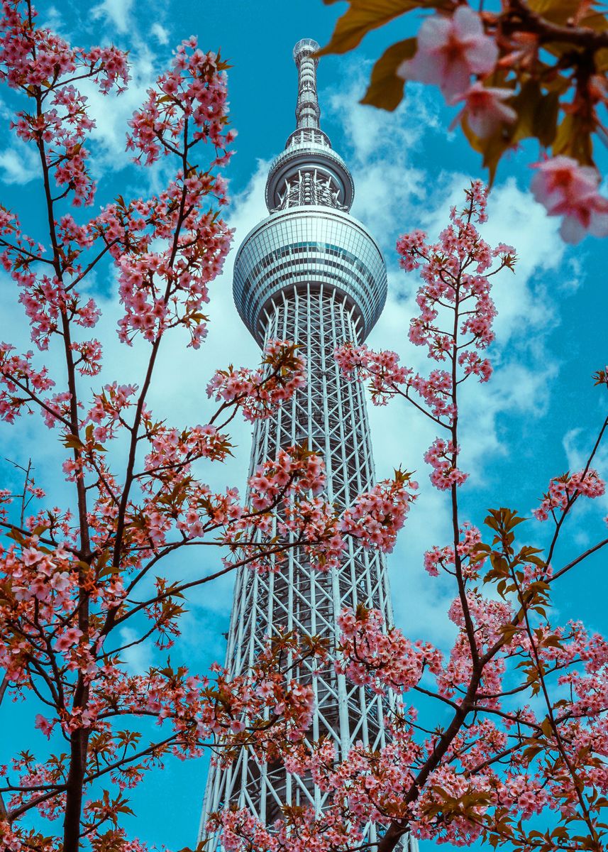 'Tokyo ' Poster, picture, metal print, paint by Famous City | Displate