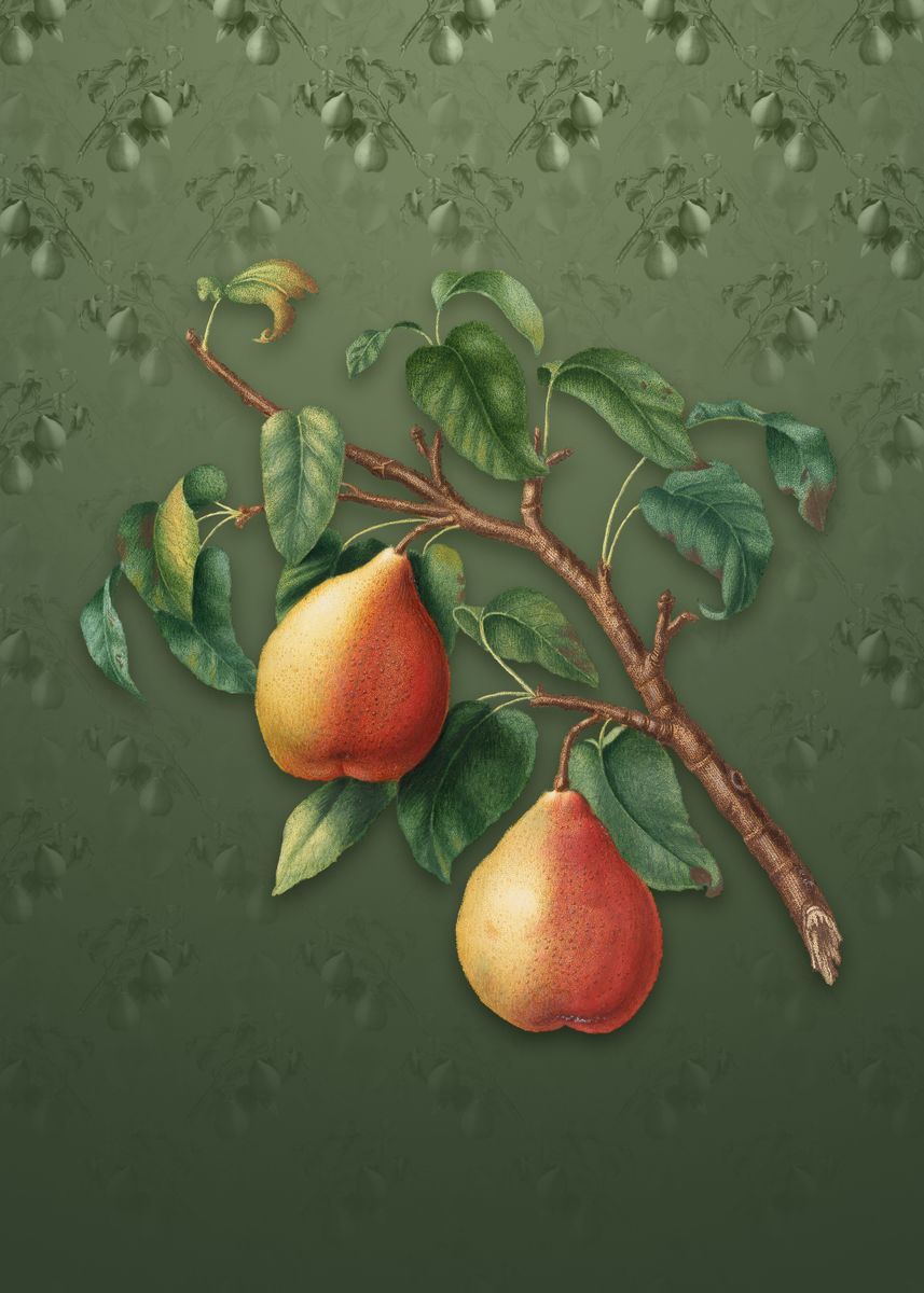 'Vintage Wild European Pear' Poster by Holy Rock Design | Displate