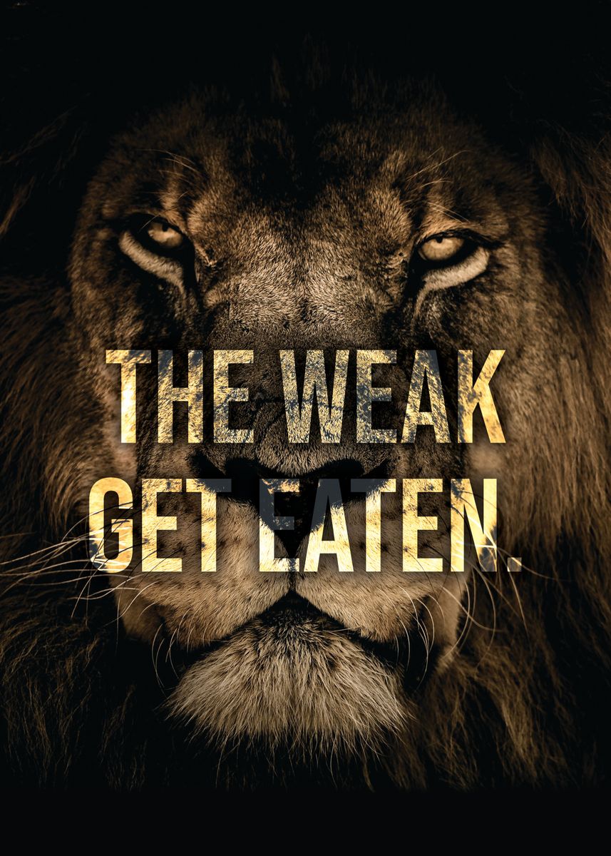 'The Weak Get Eaten' Poster, picture, metal print, paint by CHAN | Displate