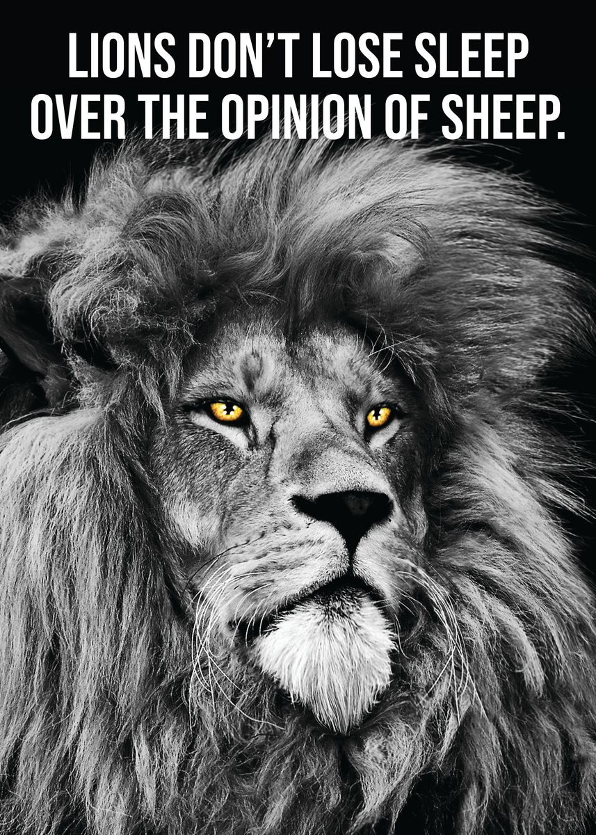 'Lions vs Opinion Of Sheep' Poster, picture, metal print, paint by CHAN ...