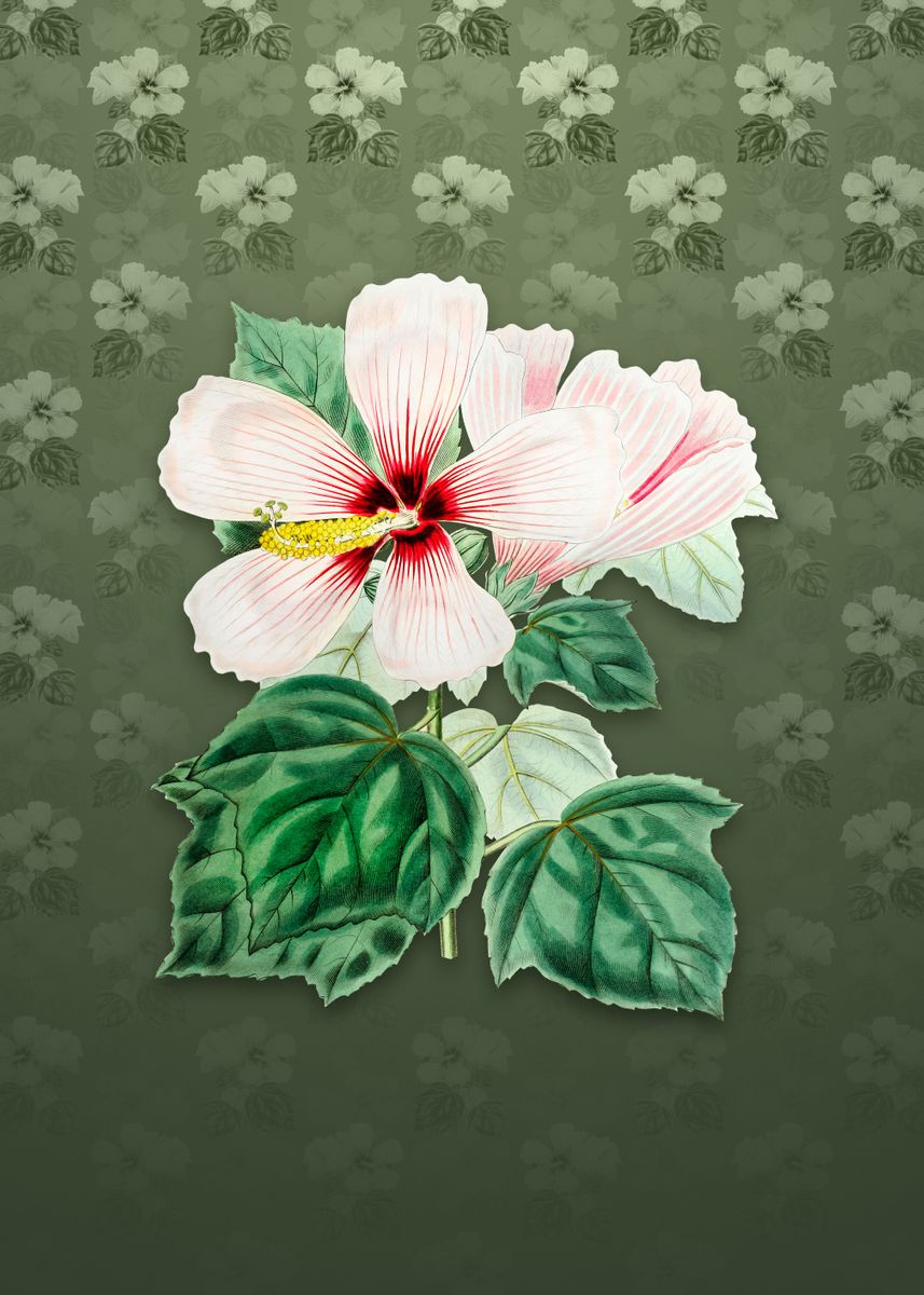 'Vintage Marsh Hibiscus' Poster, picture, metal print, paint by Holy ...